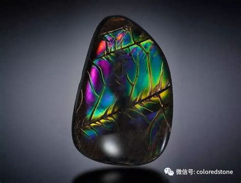 神奇不开玩笑的我们有五彩斑斓的黑 彩色宝石网