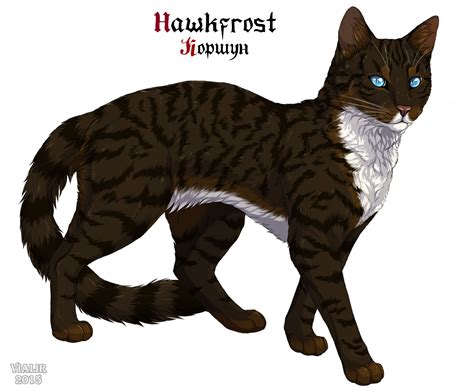 Hawkfrost By Vialir On Deviantart