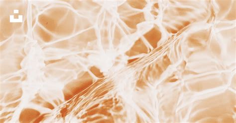 물에 물방울이 떨어진다 사진 Unsplash의 무료 네덜란드 이미지