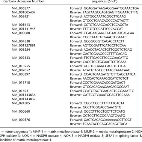 Primers Used For Real Time Quantitative Polymerase Chain Reaction Download Table