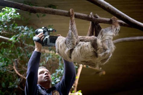 10 Imágenes Desde Los Zoológicos Del Mundo El Espectador