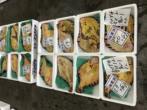 Yahooオークション 〔高級魚〕北海道産活〆マツカワガレイ2枚（17