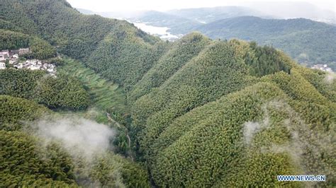 Scenery Of Mukeng Bamboo Forest Scenic Area In China S Anhui People S