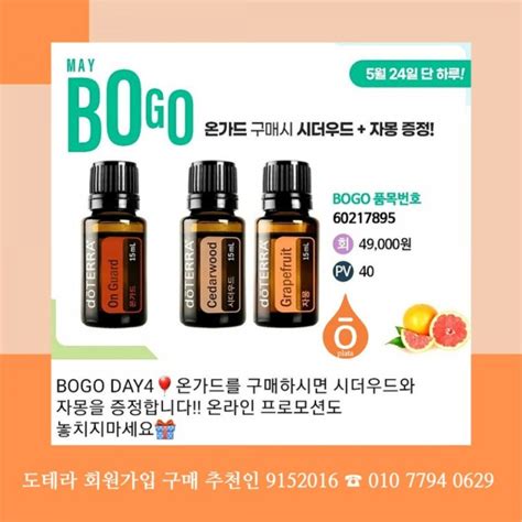 도테라보고 12 온가드시더우드자몽 효능 활용법 엄지원다이어트오일 정소민오일 연예인오일 식용가능한 섭취가능한 아로마오일 네이버 블로그