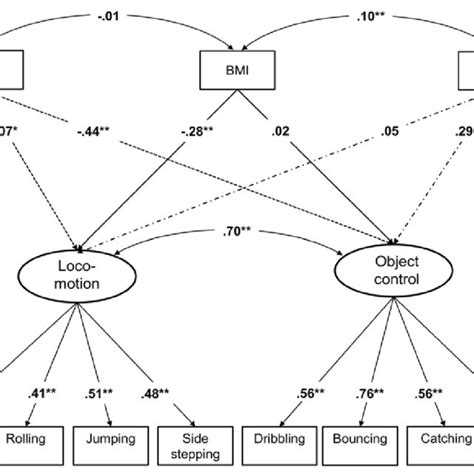 Confirmatory Factor Analysis With The Covariates Sex BMI And Age Download Scientific Diagram