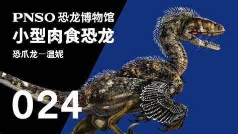 第05集懂得团队协作的恐爪龙温妮 第05集懂得团队协作的恐爪龙温妮 少儿 动画片大全 腾讯视频