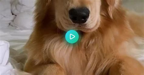 Gib Me Breffast Album On Imgur