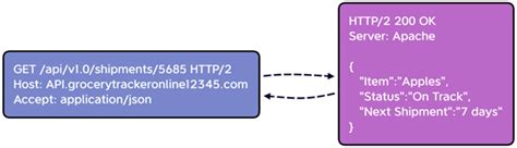 API Hacking Exploring Web Vulnerabilities Under The Hood Risk Sixty