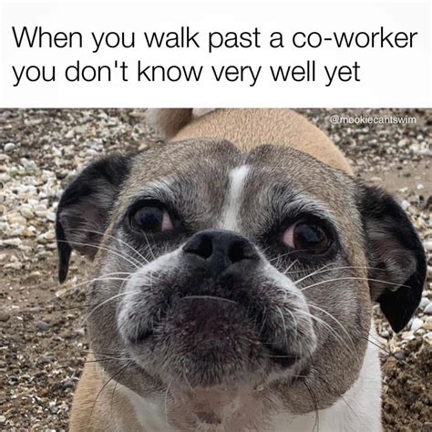 20 Embarrassed Memes