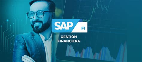 Erp Sap Fi Acti