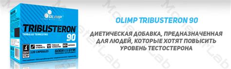 OLIMP Tribusteron 90 (120caps) - Купить Олимп Трибустерон 90
