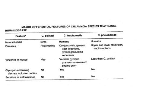 Ppt Chlamydiae Powerpoint Presentation Free Download Id 3200172