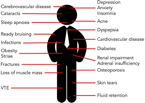 Steroids Drug Effects