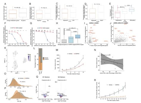 Cancer Discov：科学家识别出对肿瘤细胞代谢和免疫逃逸非常重要的特殊蛋白生物科技健康一线资讯