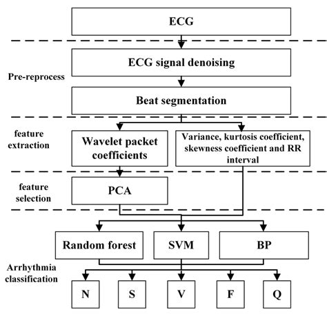 Block Diagram Of Ecg Beat Automatic Classification Method Download Scientific Diagram