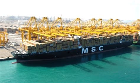 Container Terminal Operators Forced To Invest More To Boost Capacity Ports Seanews