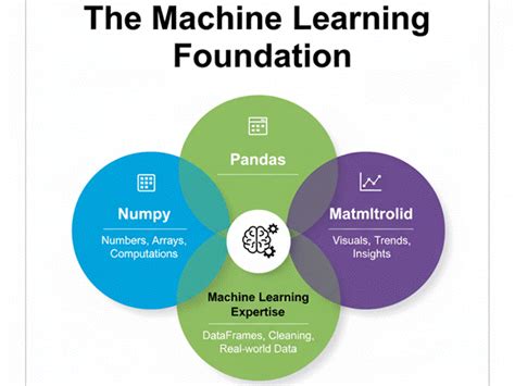 Python For Machine Learning Pandas Numpy And Matplotlib Guide