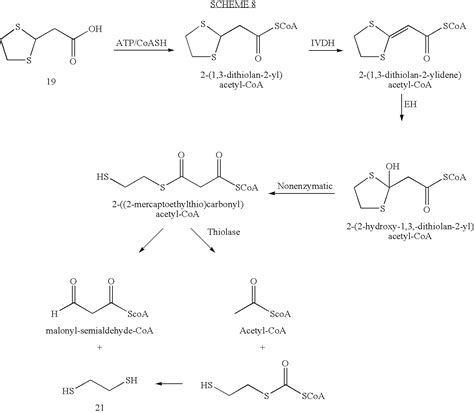 Enoyl Coa Hydratase 3 Hydroxyacyl Coa Hydrolyases 3 Hydroxyacyl