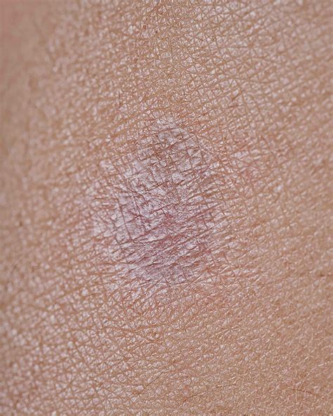 Loo Zihan A Meticulous Investigation Into History Memory And