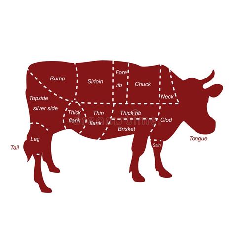 Illustration Of Beef Pork Cuts Chart Stock Vector Illustration Of