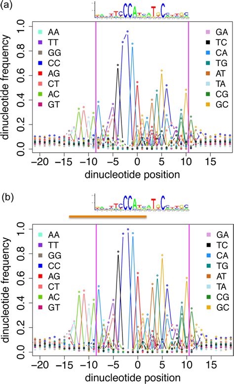 Case Study Of ZNF DNA Binding Preferences The Sequence Logo Download Scientific Diagram