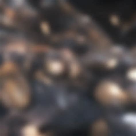 Exploring Causation Relationships A Comprehensive Analysis