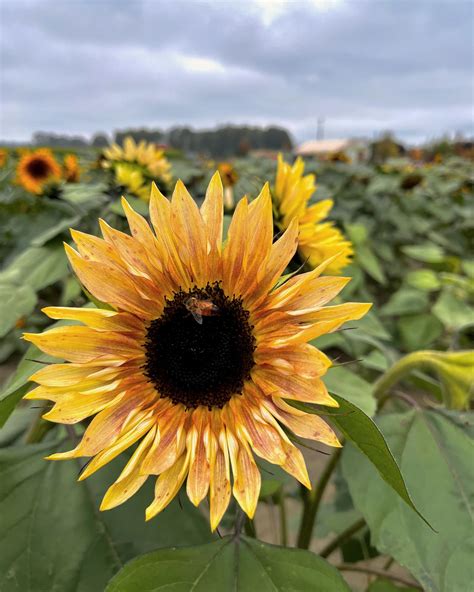 Kyle Lightner Kylelightning • Instagram Photos And Videos