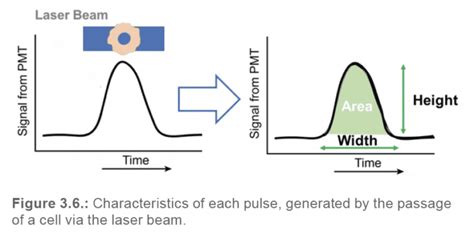 Microfluidic Cell Sorting Technology Nanocellect