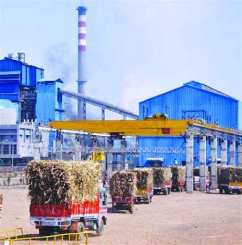महाराष्ट्र साखर कारखान्यांकडून हंगाम २०२३ २४ मधील ९९९२ टक्के ऊस