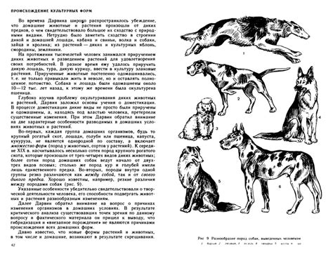 Учебное пособие «Дарвинизм 1985 Георгиевский А Б Издание