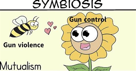 Mutualism Rlibertarianmemeuk