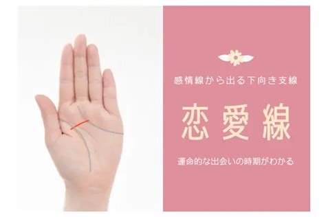 恋愛線とはない場合や右手左手結婚線との見方を解説 ひつじの手相占い