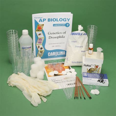Genetics Of Organisms Genetics Of Drosophila Kit Carolina Biological