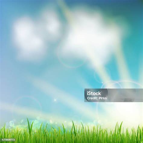 Background With Green Grass向量圖形及更多園藝圖片 園藝 夏天 大自然 Istock