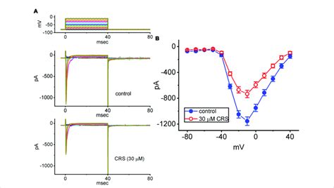 Inhibitory Effect Of Crs On The Steady State Current Versus Voltage