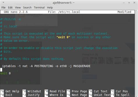 routing to debian router in virtualbox and web server on engine x