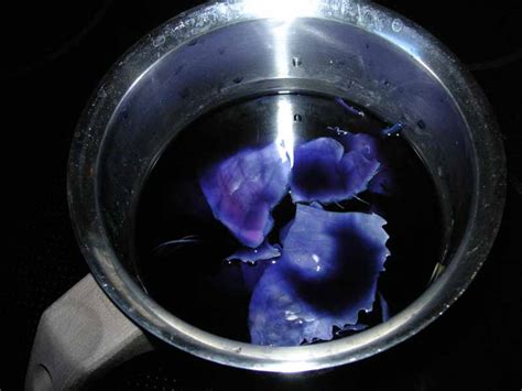 How To Dye Blue With Red Cabbage Tutorial Sew Historically