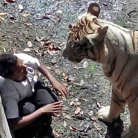 50 Of The Most Terrifying And Disturbing Images Shared In This Online