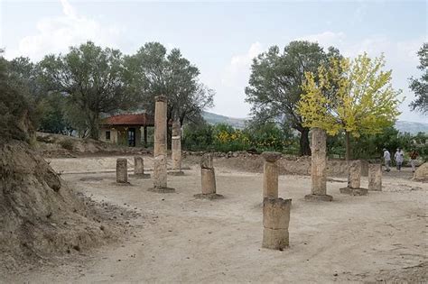 Nemea The Brain Chamber