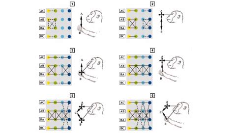 Progressive Learning Of Visual To Motor Transformations For Visually Download Scientific
