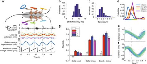 Centralization Of Cockroach Locomotion A Control Local And Global