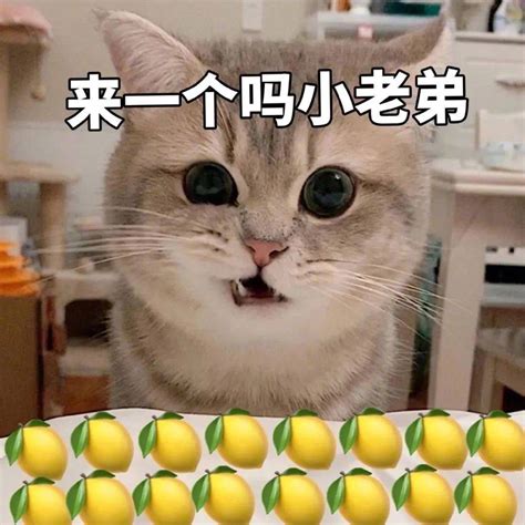 表情包 我现在生气 我跟你说 拿图点赞、吱声财经头条
