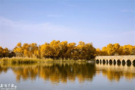 巴楚县风景图片巴楚县县城图片巴楚县图片大山谷图库