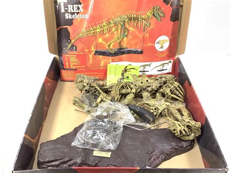 Lot B C Bones T Rex Skeleton Dinosaur Assembly Set