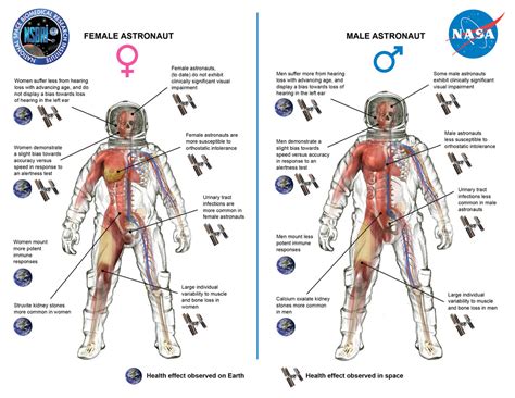 La Explicación De Por Qué Hay Más Hombres Que Mujeres En El Espacio