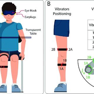 Experimental Setup And Vibrator Positioning Panel A Participants Sat Download Scientific