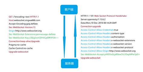 Websocket 协议原理抓包分析 阿里云开发者社区
