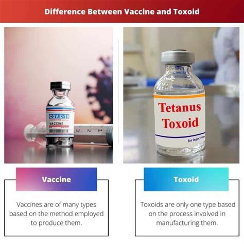 Vaccine Vs Toxoid Difference And Comparison