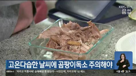 고온다습한 날씨에 곰팡이독소 주의