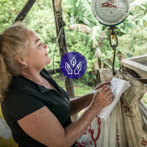 Aula Academia De Carbono